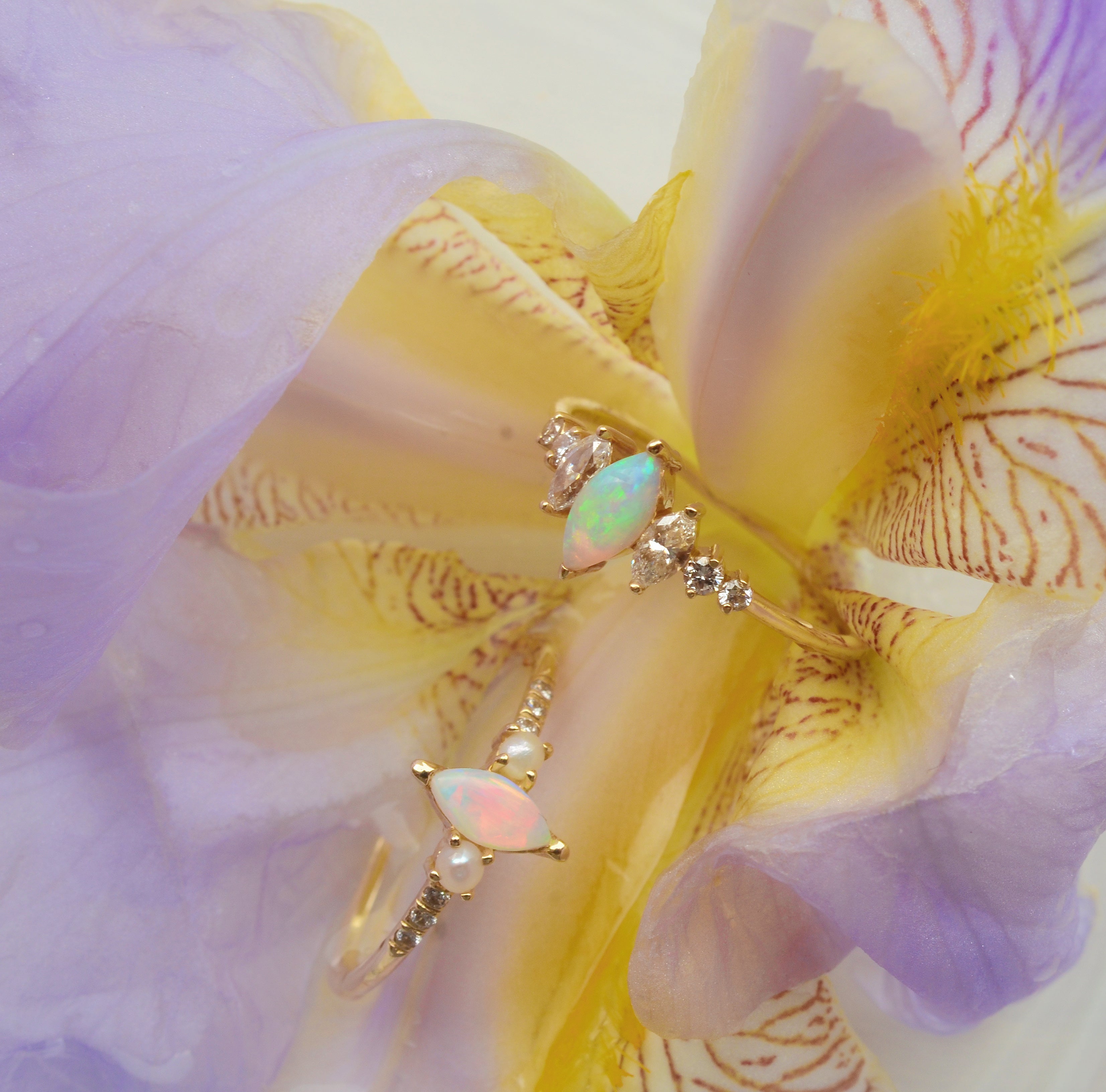 The Truth Behind the Myths About Opals - La Kaiser